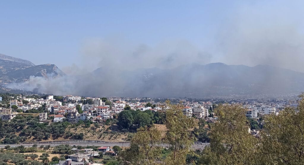 Φωτιές: Οι αχίλλειες πτέρνες της Αχαΐας - O Γιώργος Κανέλλης μιλάει ...