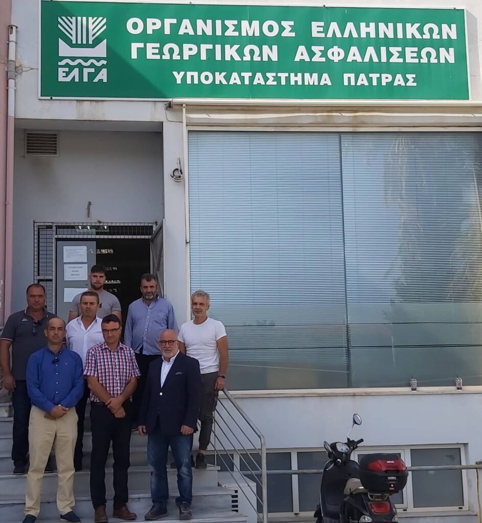 Στον ΕΛΓΑ ο Σακελλαρόπουλος για τις ζημιές σε αμπέλια και σταφίδες ...