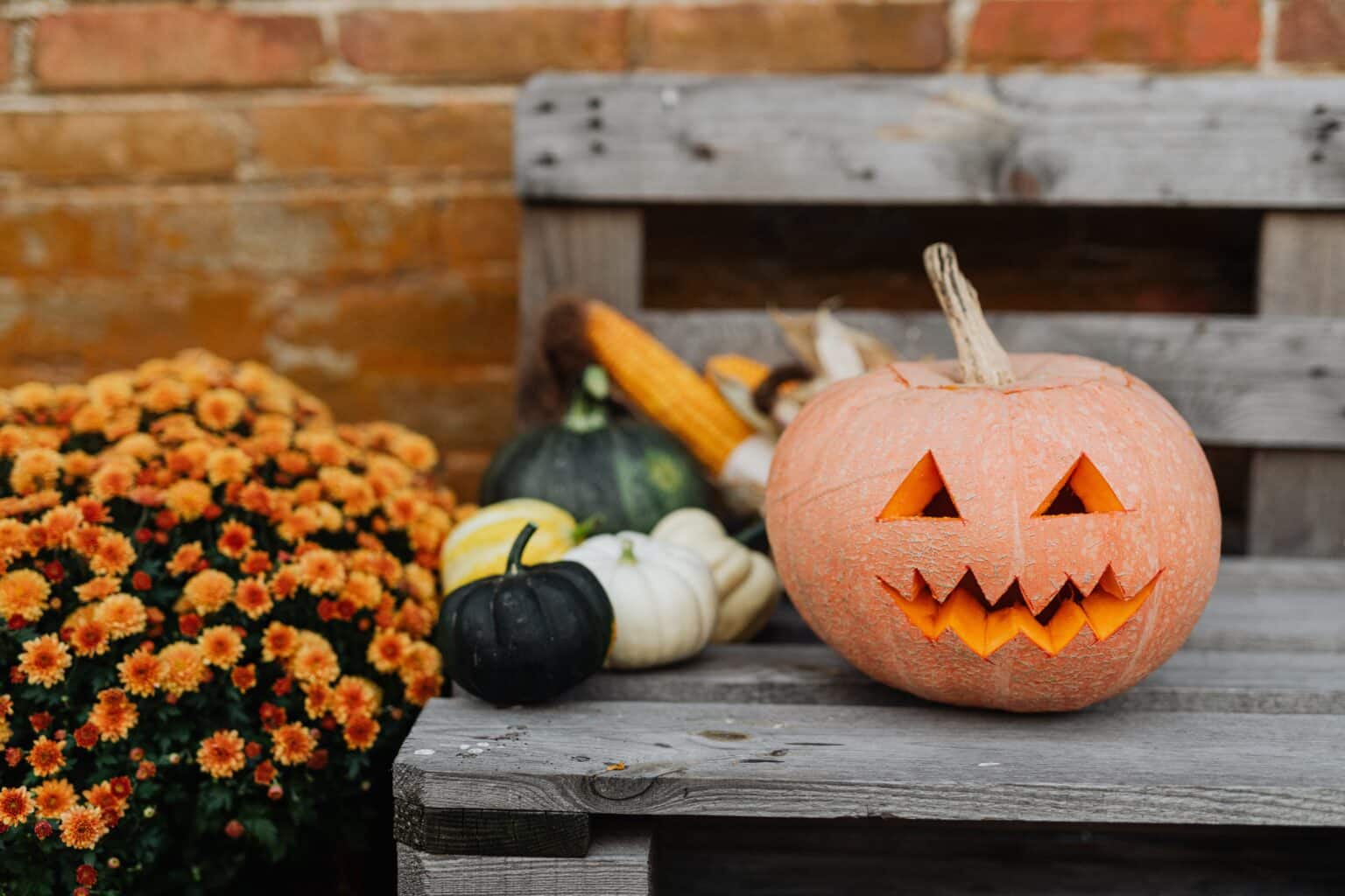 Η εξάπλωση του Halloween στην Ελλάδα: Από αρχαίο κέλτικο έθιμο σε ...