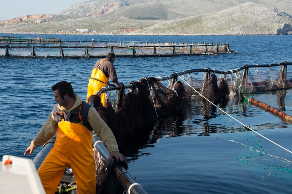 Χίος: Νεκρός βρέθηκε 52χρονος πάνω σε σκάφος σε ιχθυοκαλλιέργεια