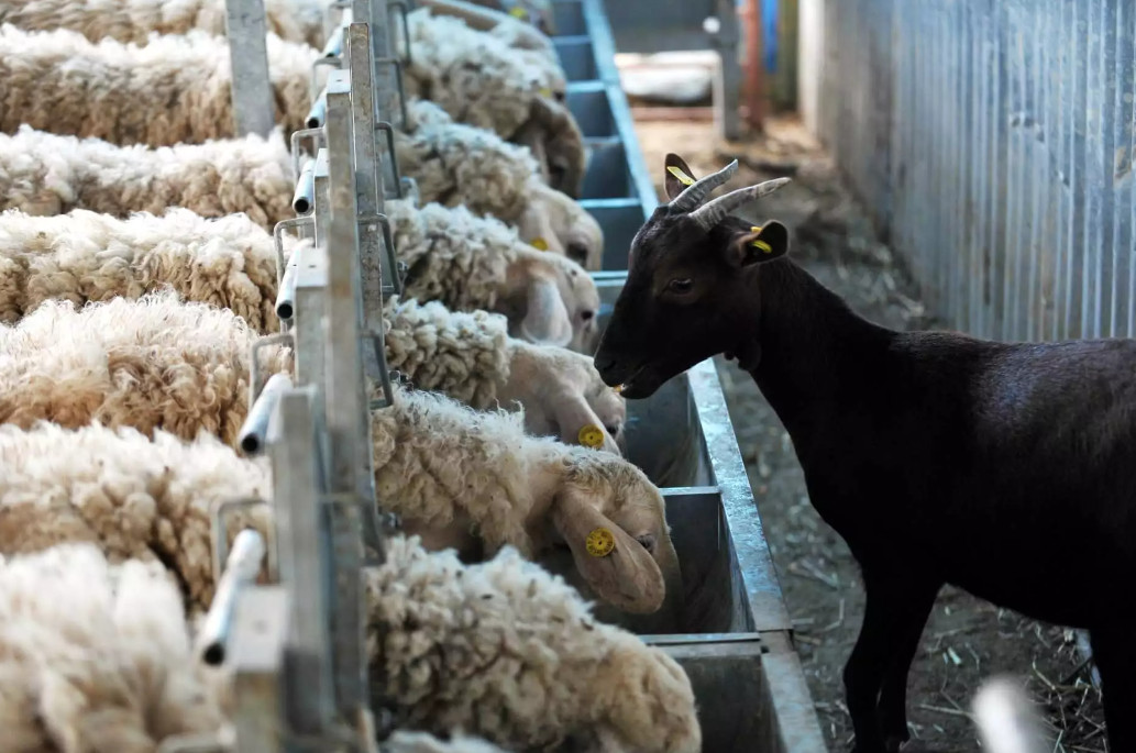Μέχρι τέλος του χρόνου η προθεσμία ίδρυσης και λειτουργίας ...