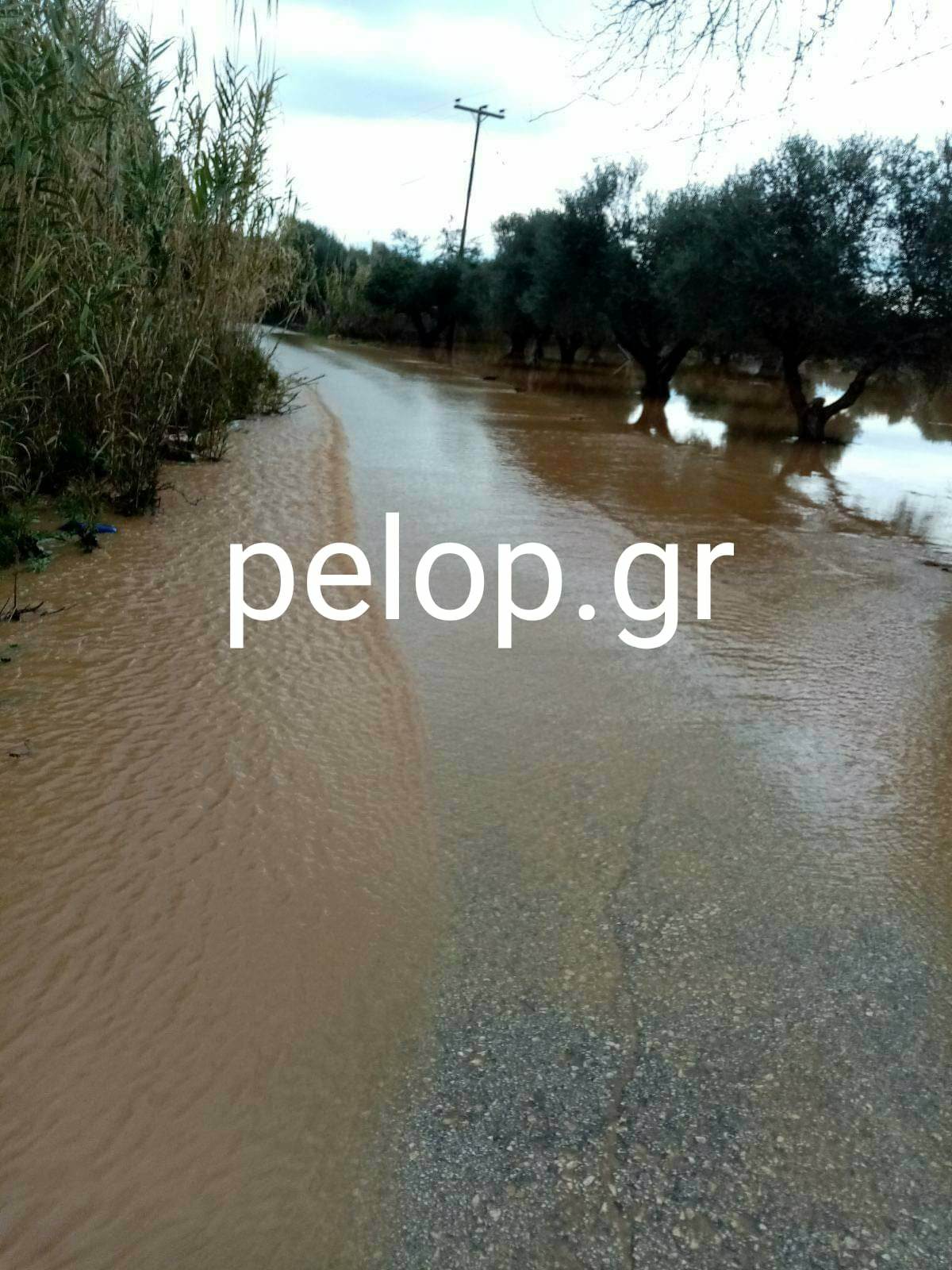 Κακοκαιρία: Πλημμυρικά φαινόμενα στην Αχαΐα ΦΩΤΟ - ΒΙΝΤΕΟ | ΕΙΔΗΣΕΙΣ