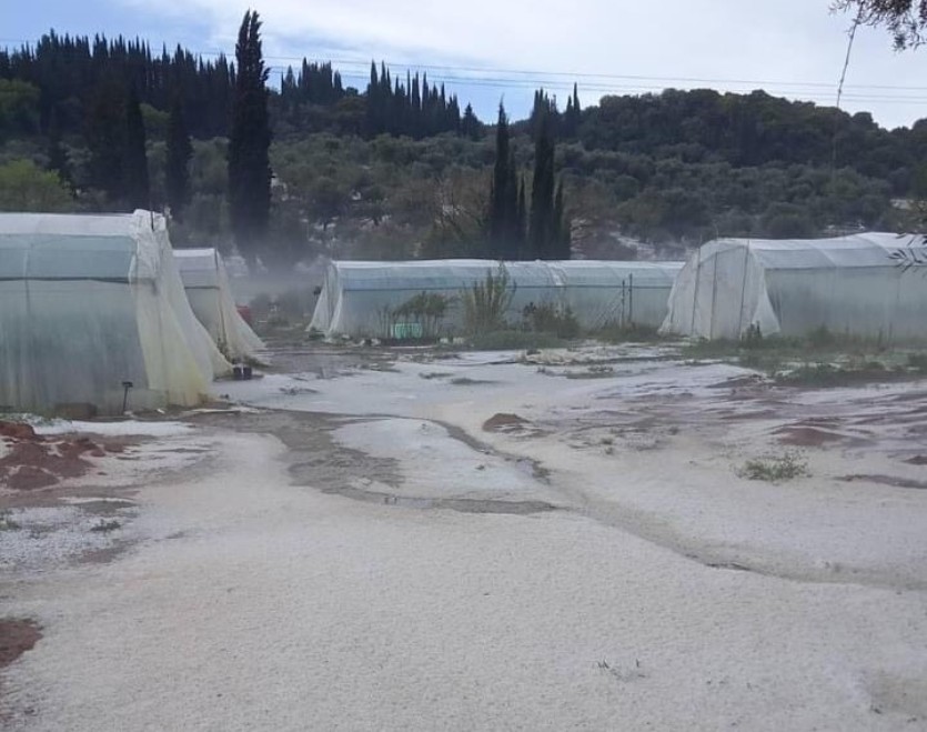 Ηλεία: Ολοκληρωτική καταστροφή καλλιεργειών - «Εστρωσε» χαλάζι σε ...