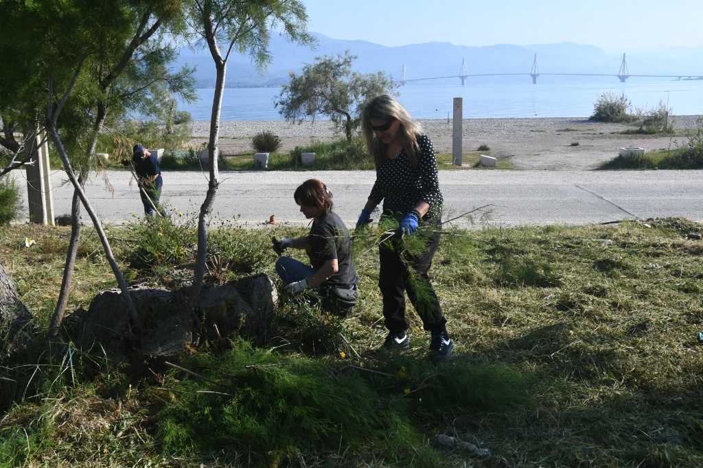 Πάτρα: Εργαζόμενοι του Δήμου καθαρίζουν το Έλος της Αγυιάς - ΦΩΤΟ ...