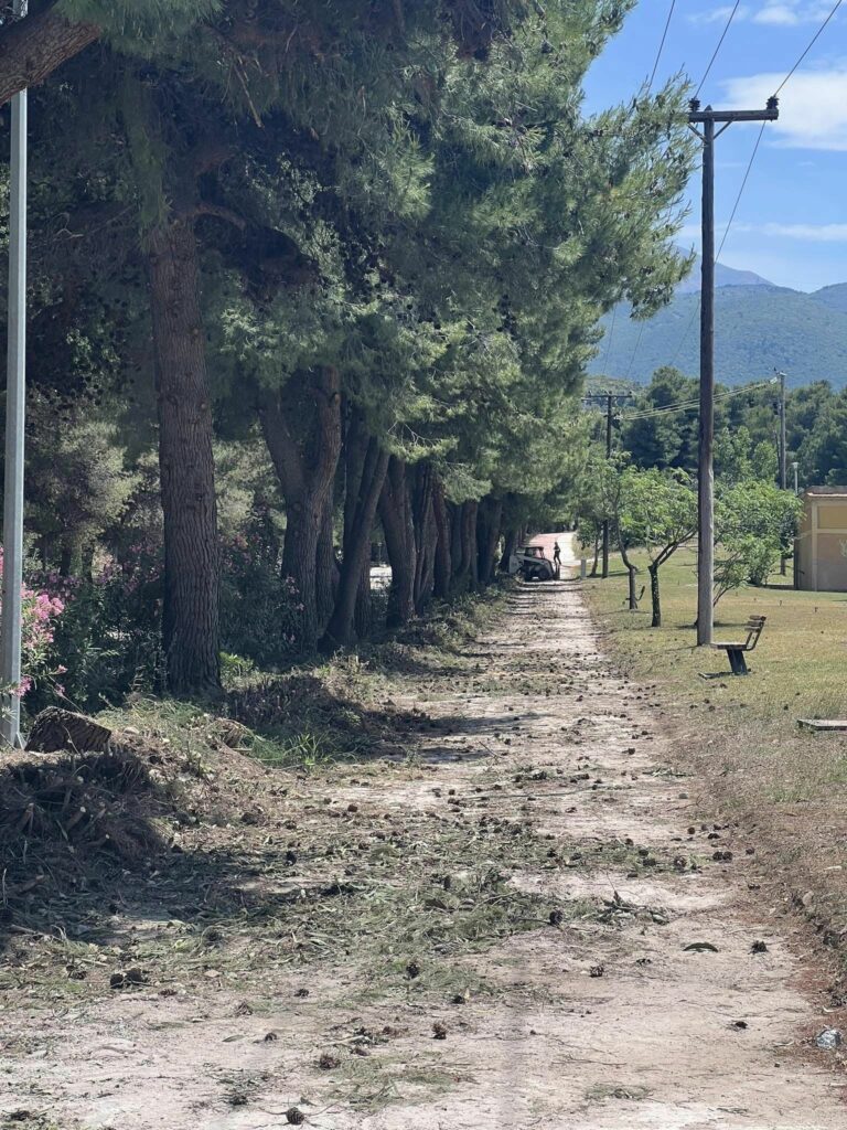 Πάτρα - Πανεπιστημιούπολη: Αποκτά περιαστικό πάρκο στο Ρίο- ΦΩΤΟ | ΕΙΔΗΣΕΙΣ