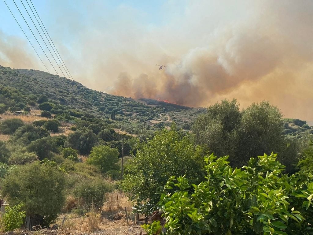 Μεγάλη φωτιά στη Μεσσηνία - Καίει κοντά σε σπίτια | ΕΙΔΗΣΕΙΣ