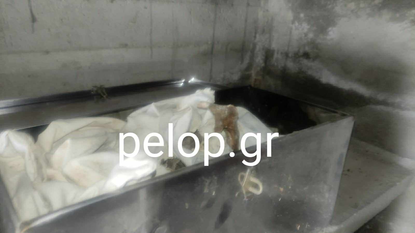 ΑΠΟΚΑΛΥΠΤΙΚΟ - Πάτρα: Νέα σύληση τάφου - Δεύτερη «δολοφονία» της μικρής ...