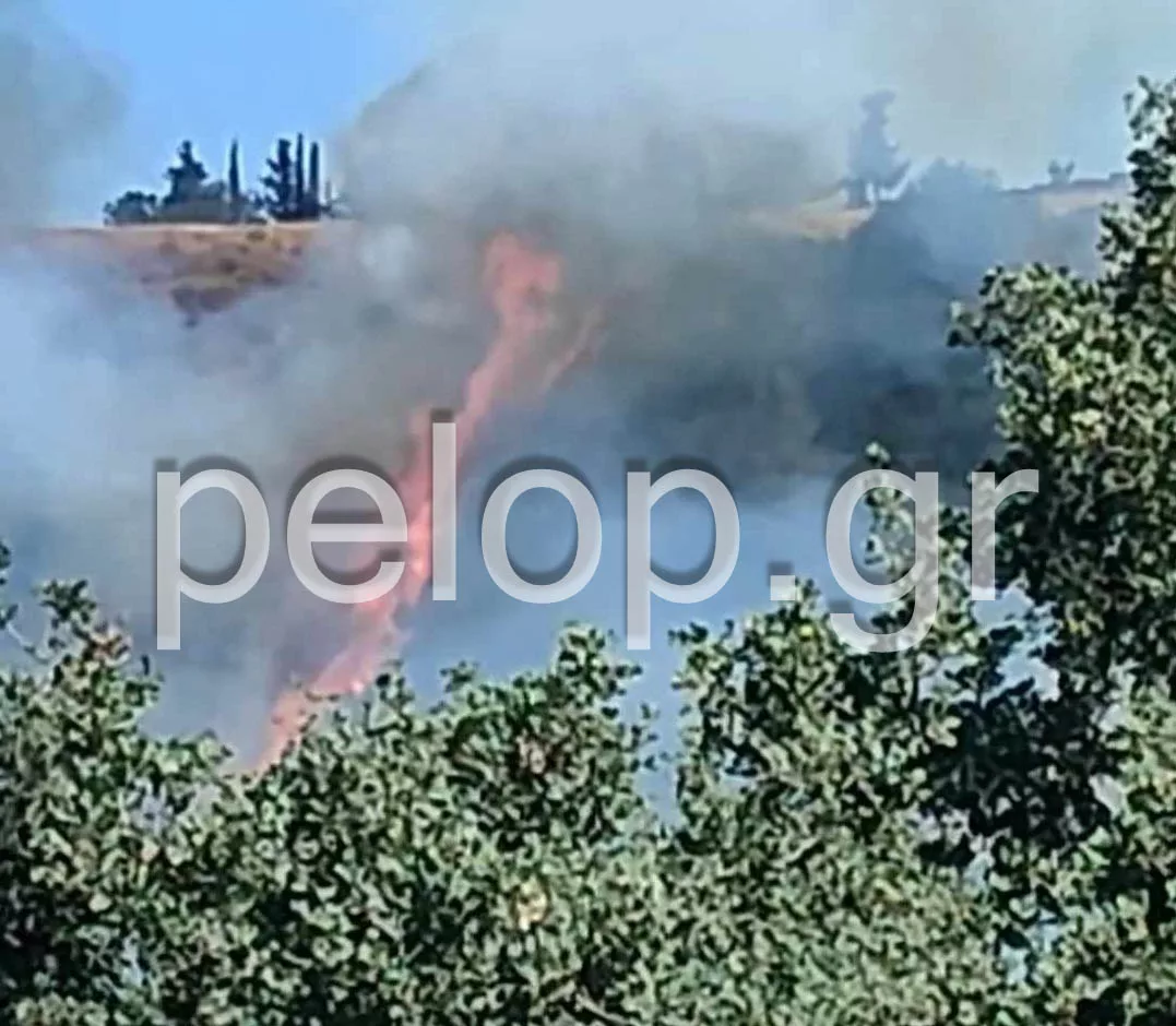ΝΕΟΤΕΡΑ Υπό έλεγχο η φωτιά στη Γουμένισσα Καλαβρύτων, πώς την έθεσαν ...