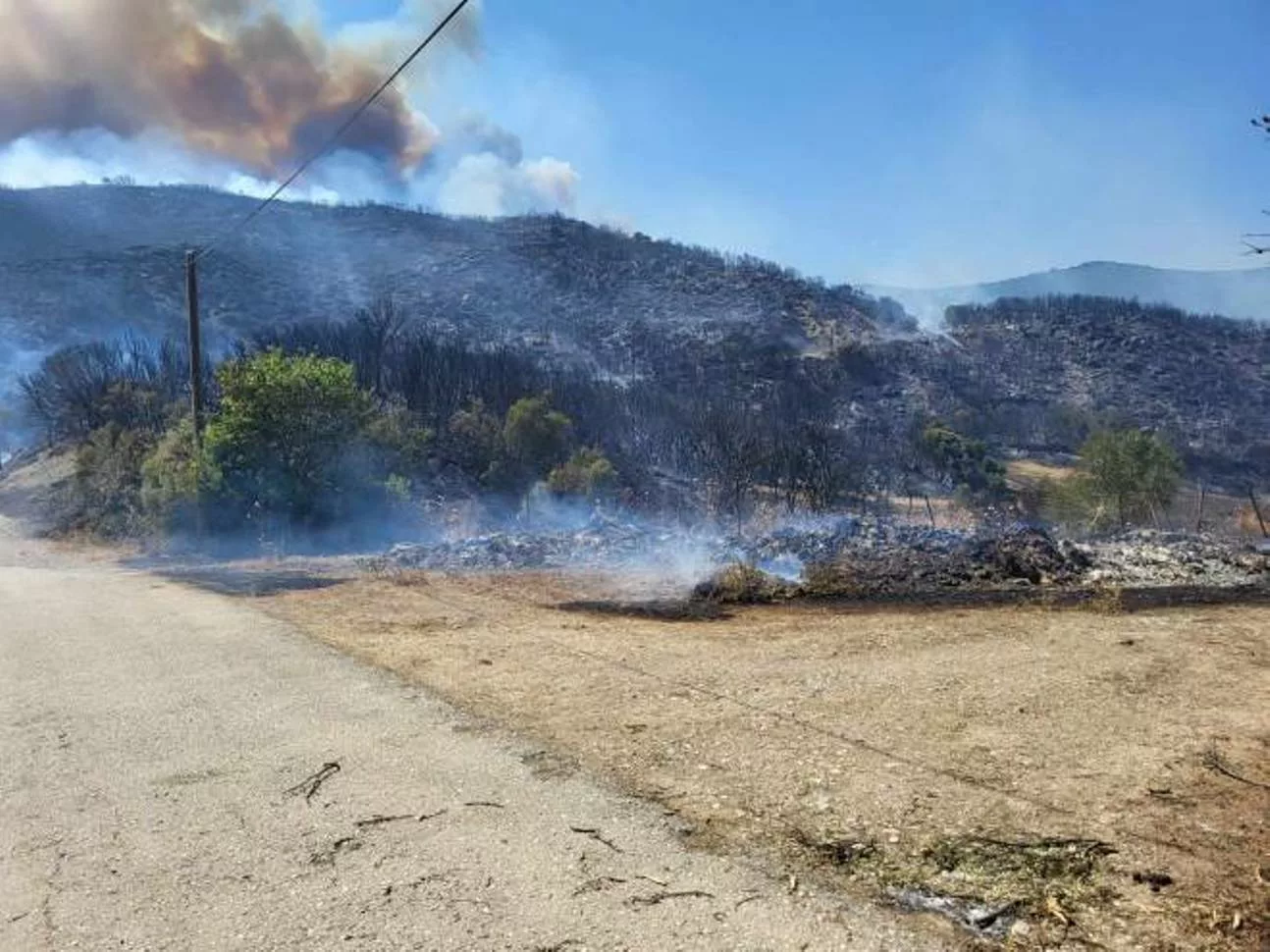 Στα καμένα της Τριταίας σήμερα κλιμάκιο του ΠΑΣΟΚ | ΕΙΔΗΣΕΙΣ