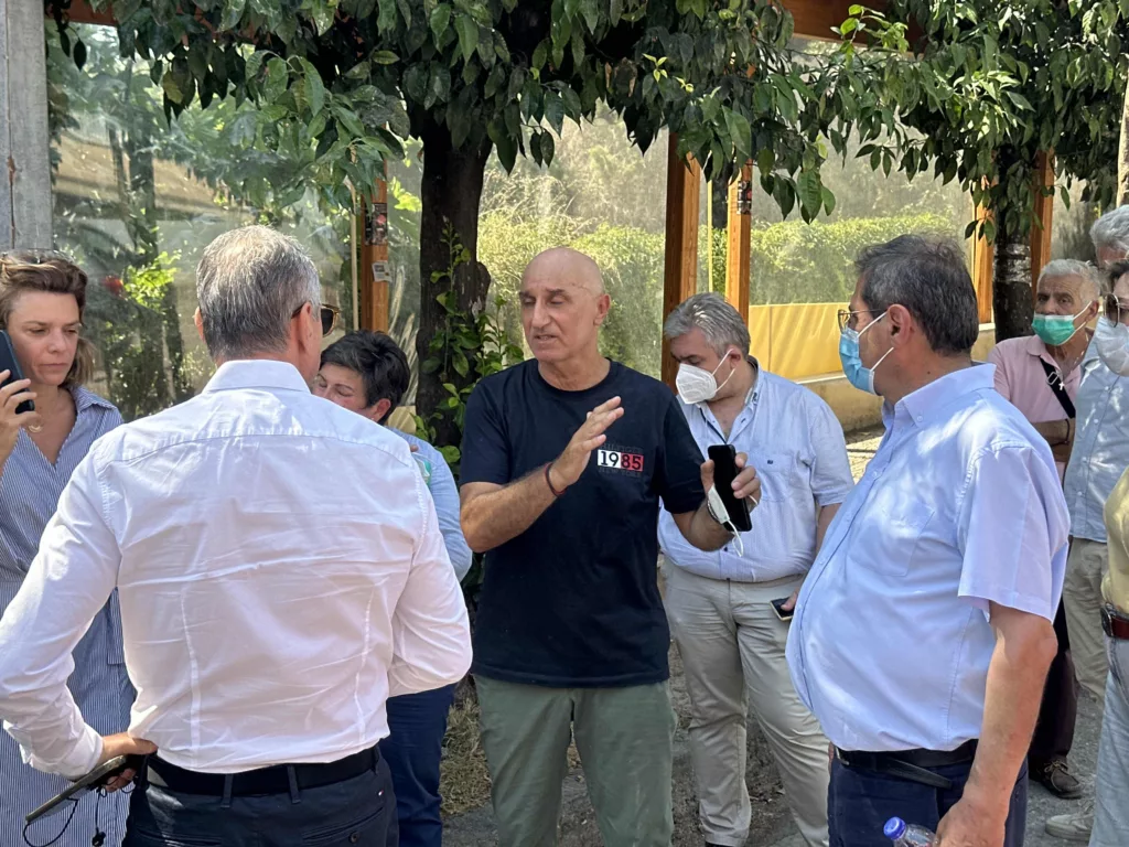 Πάτρα: «Ετσι σώσαμε το Καραμανδάνειο» - Ο Φώτης Δημακόπουλος για τις ...