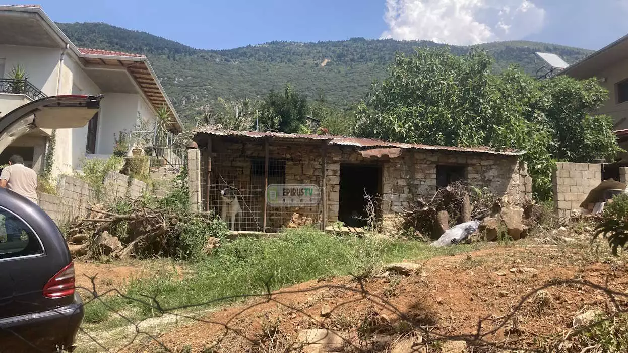 Ιωάννινα: Στη φυλακή ο 38χρονος που σκότωσε την 62χρονη θεία του | ΕΙΔΗΣΕΙΣ