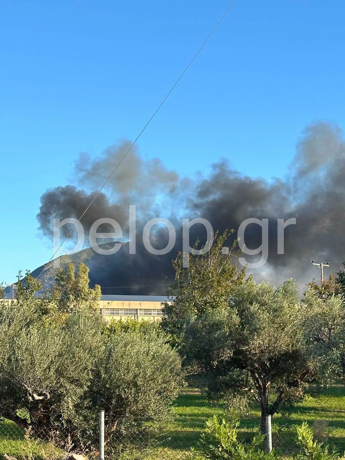 Πάτρα: Φωτιά ανάμεσα σε Πλατάνι και Καστρίτσι ΝΕΑ ΕΝΗΜΕΡΩΣΗ ΦΩΤΟ