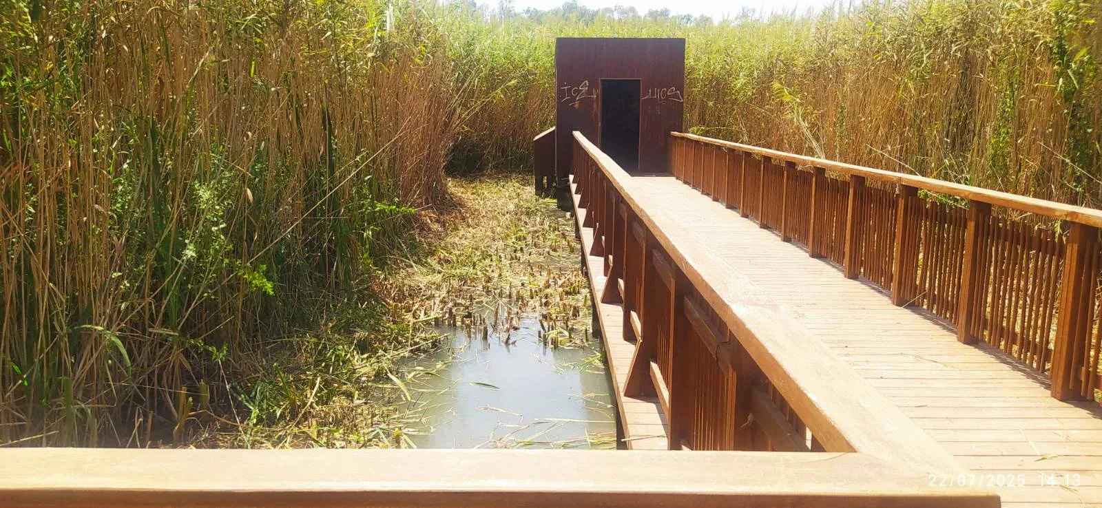 Αντιπυρική ζώνη στο Ελος της Αγυιάς για αποφυγή πυρκαγιών | ΕΙΔΗΣΕΙΣ