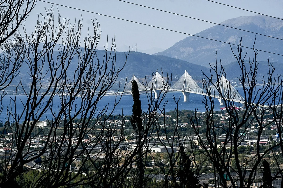 Η ΠΟΓΕΔΥ στην Πάτρα για αυτοψία στις καμένες εκτάσεις της Αχαΐας | ΕΙΔΗΣΕΙΣ